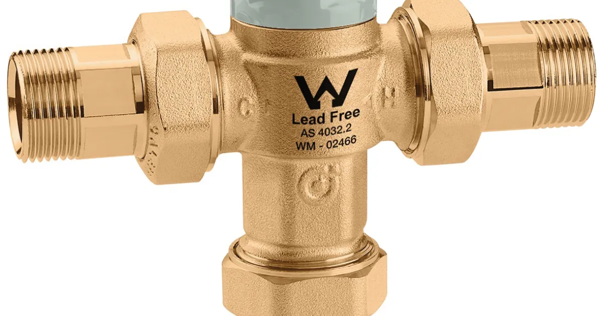 Adjustable anti-scald tempering valve with check valves and strainers ...