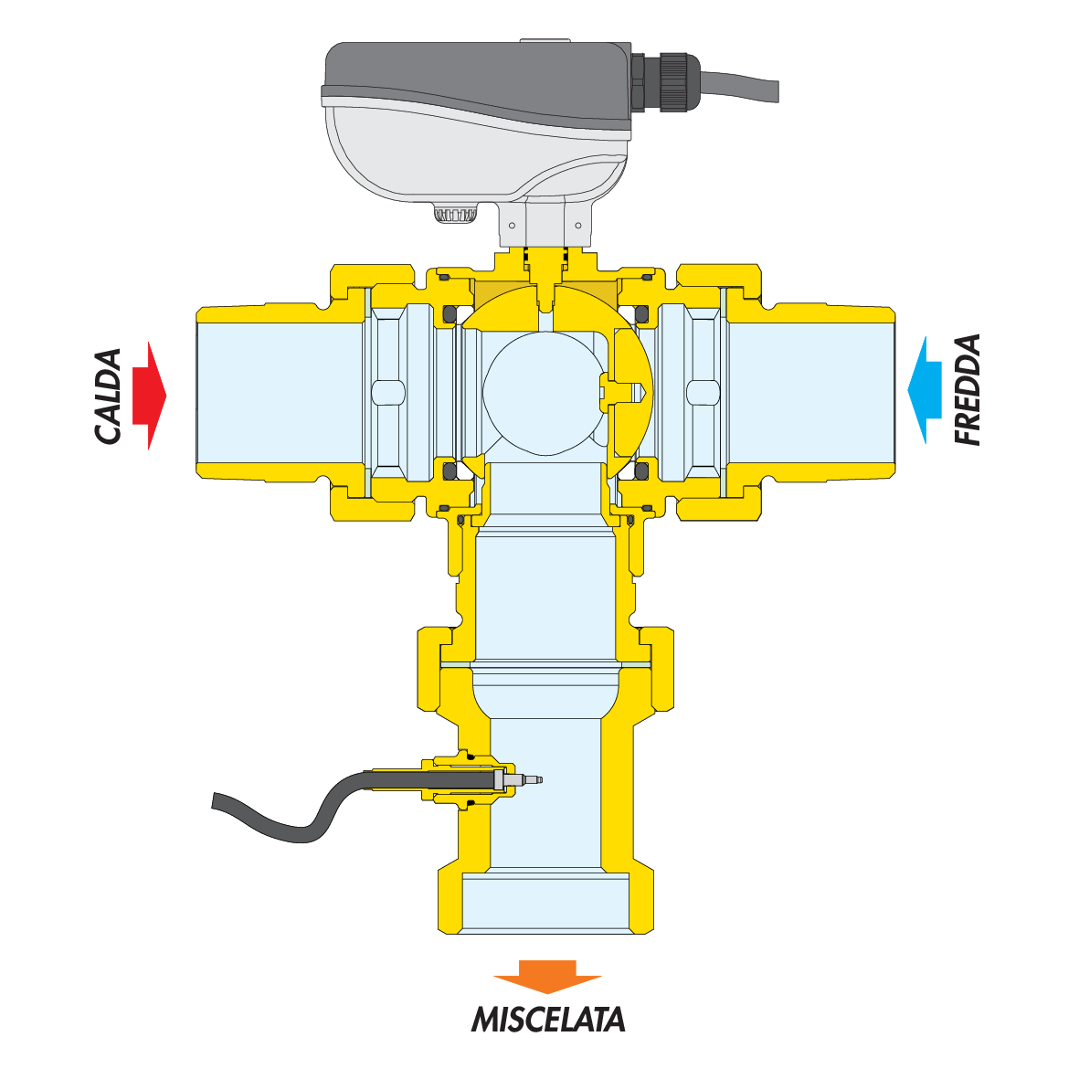 LEGIOMIX®, Valvul përzierëse elektronike me dezinfektim termik të ...