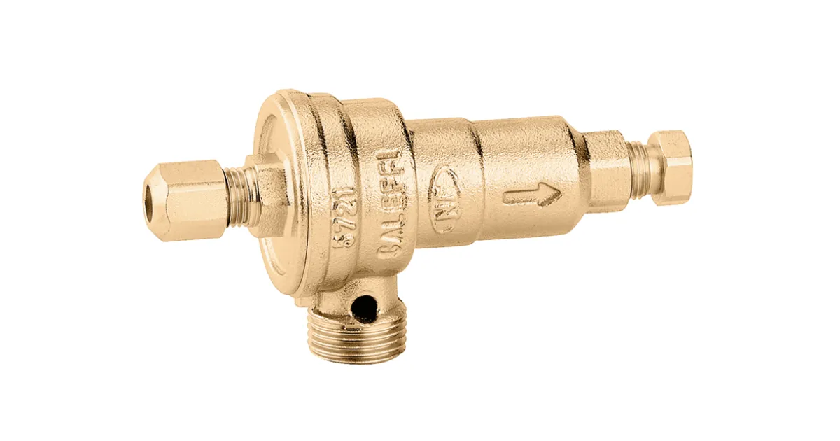 Non controllable backflow preventer with different pressure zones for ...